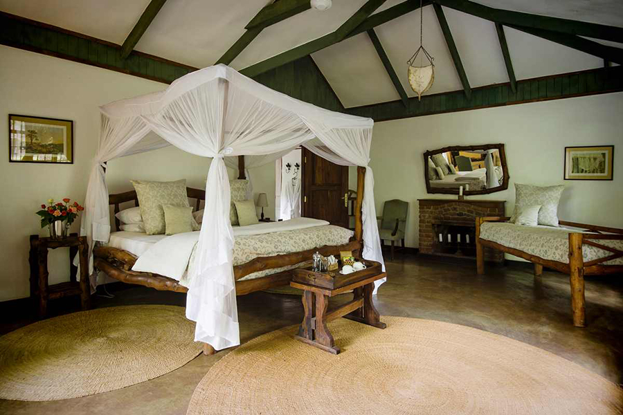 10-Day Good Value Migration & Beach | Go2Africa.com