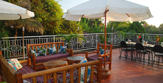 Uganda & Rwanda Primates and Wildlife Safari