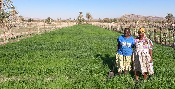 Namibia Desert & Community Safari | Go2Africa.com