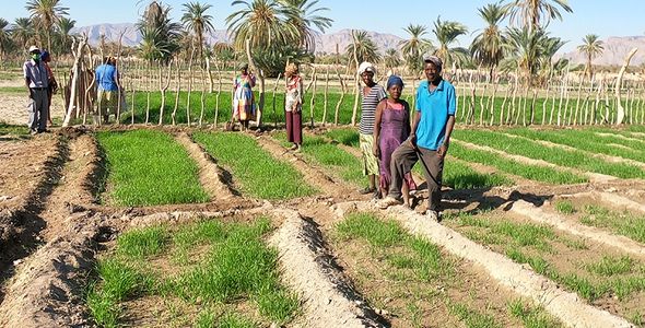 Namibia Desert & Community Safari | Go2Africa.com