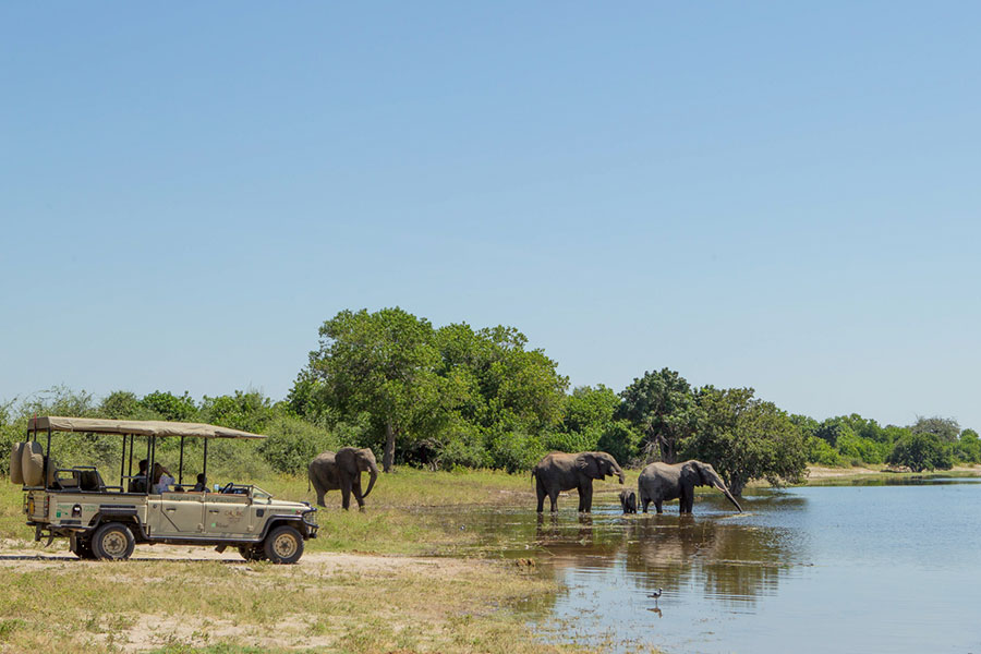 Chobe & Delta Community Safari | Go2Africa