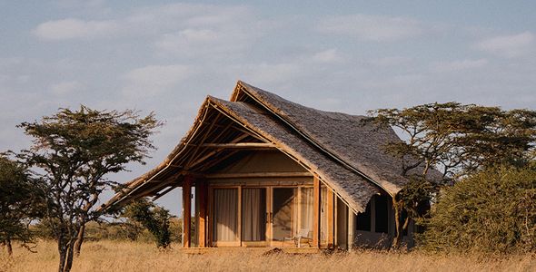 Kenya’s Masai Mara Safari